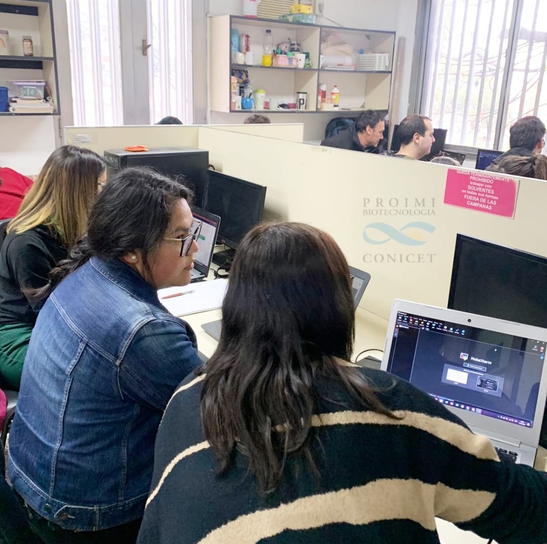 Curso Internacional | PROIMI