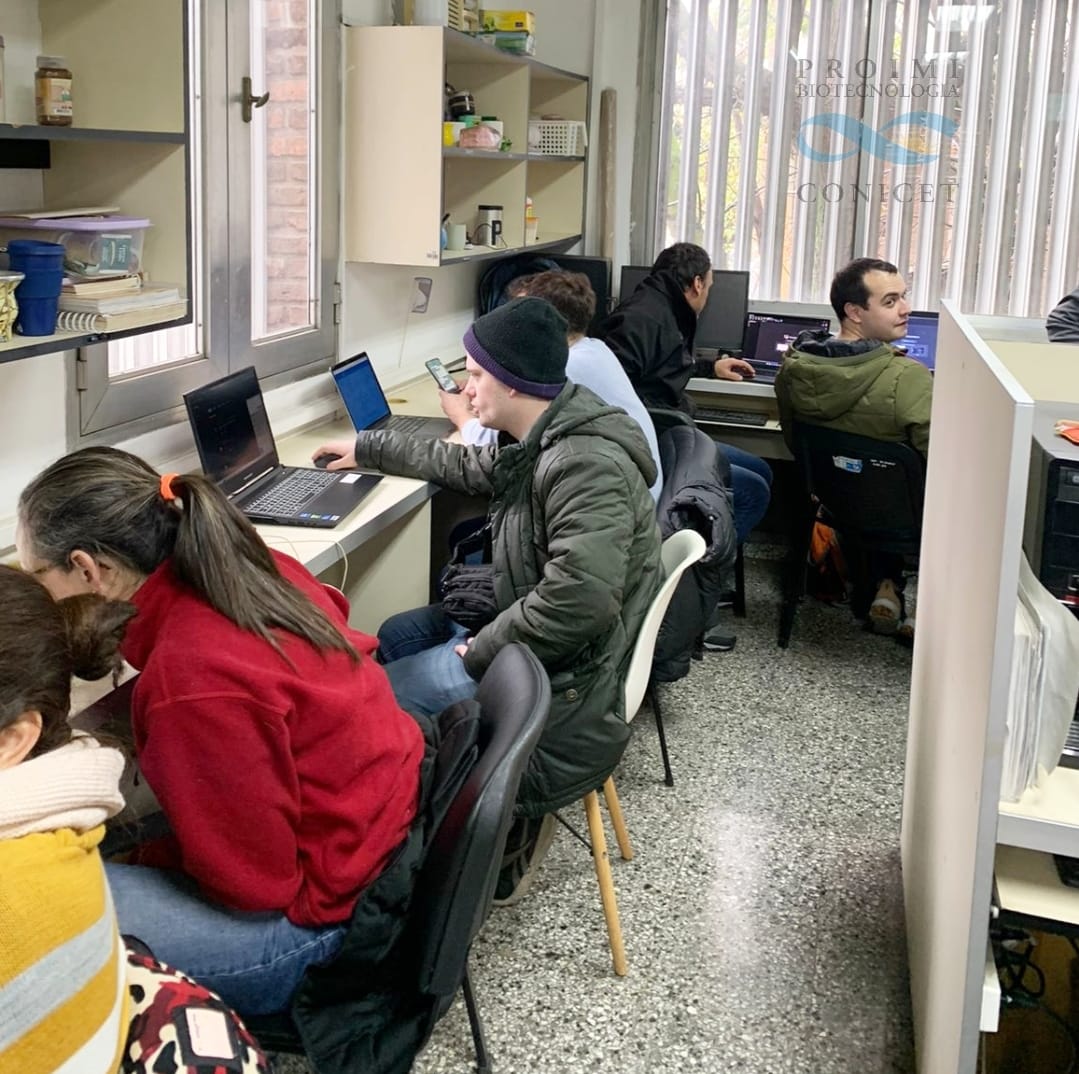 Curso Internacional | PROIMI