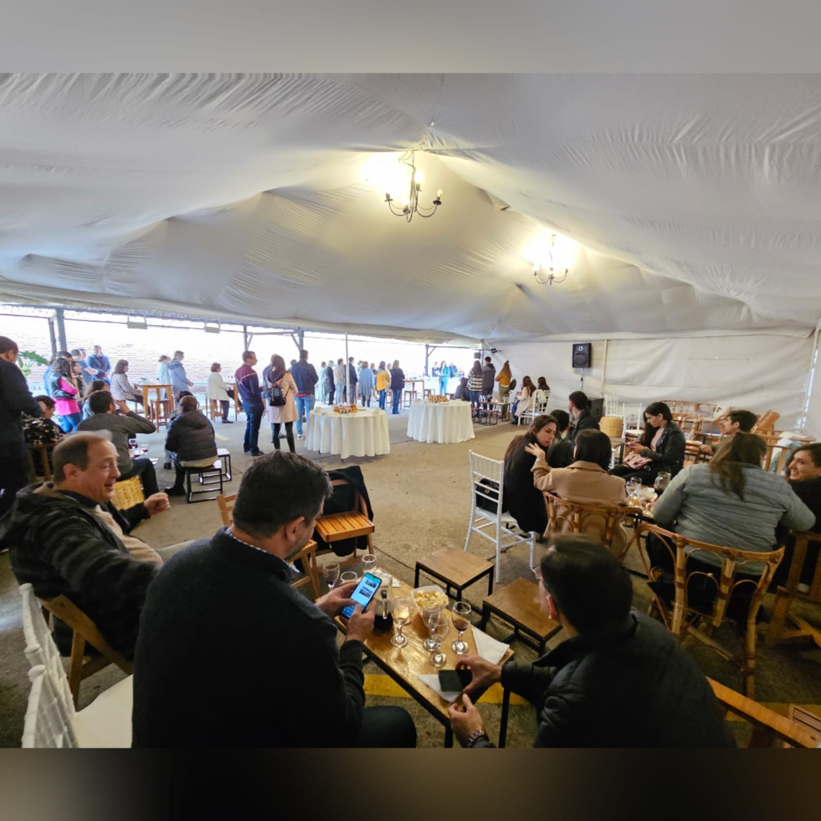 45 AÑOS DE PROIMI | PROIMI